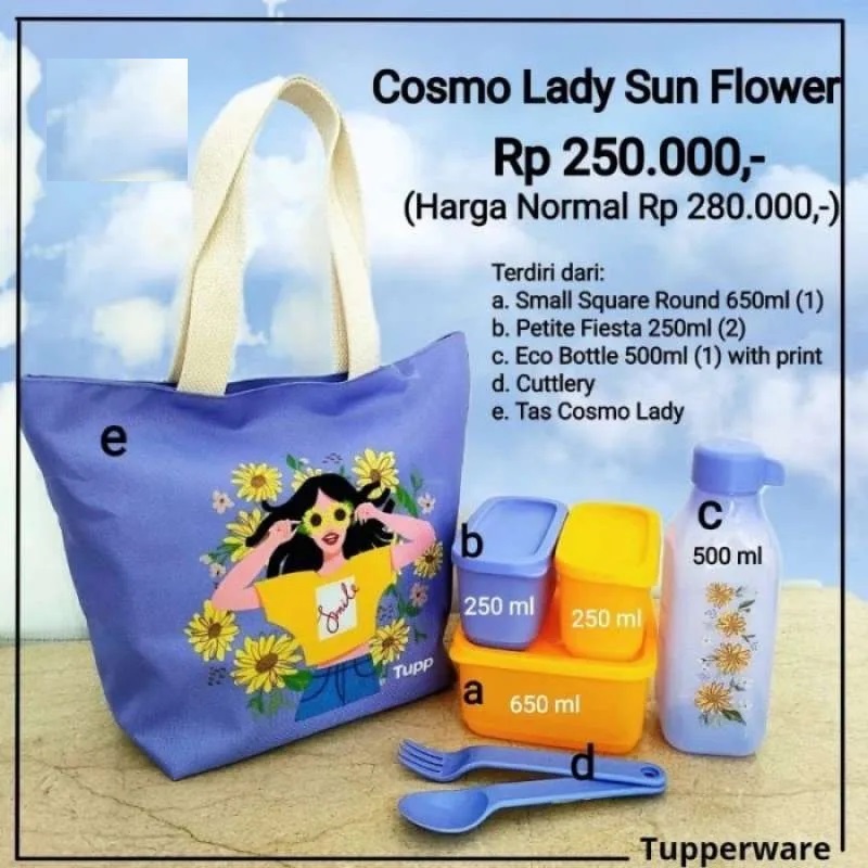 Tupperware Cosmo Lady Lunch Set | Shopee Malaysia