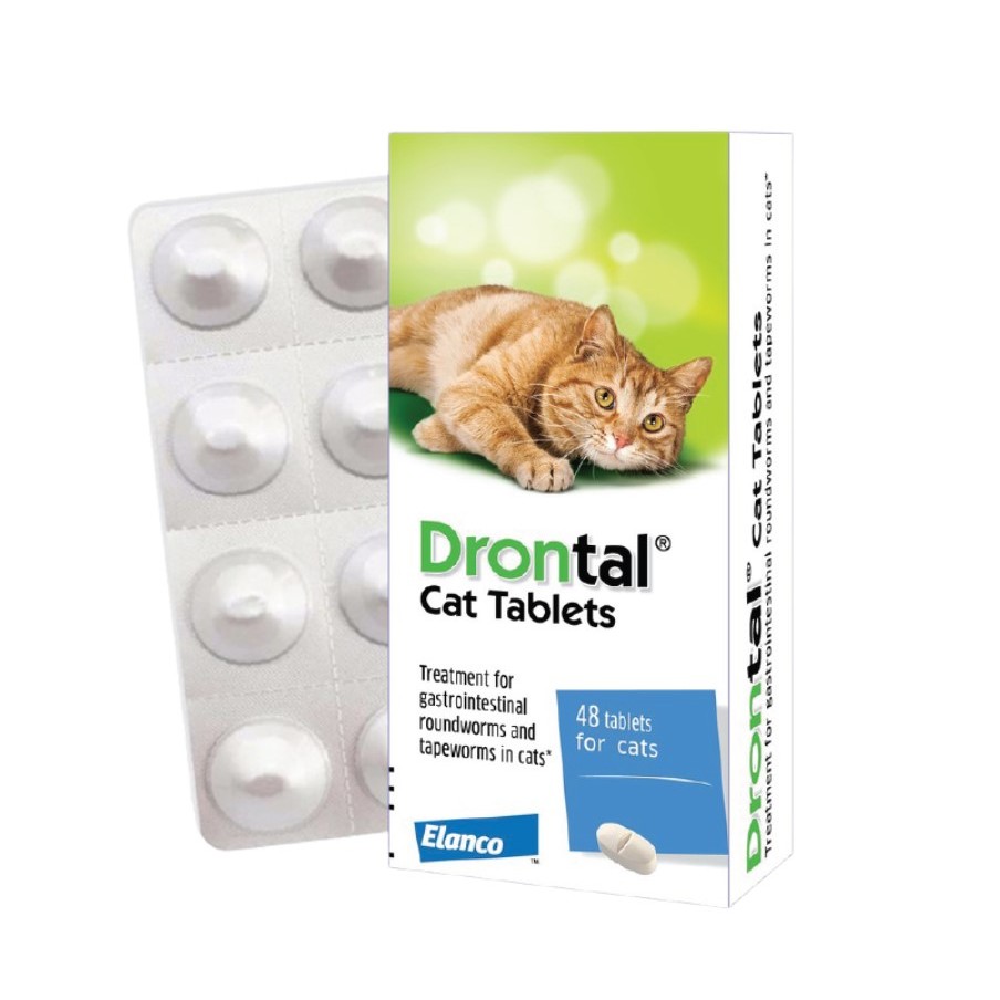 (1 tab) DRONTAL CAT TABLET [1 TAB/4KG] [UBAT CACING KUCING] | Shopee ...