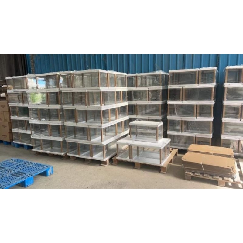 Crystal Clear CC Tank Aquarium L60xW30xH36cm- Wholesale Prices | Shopee ...