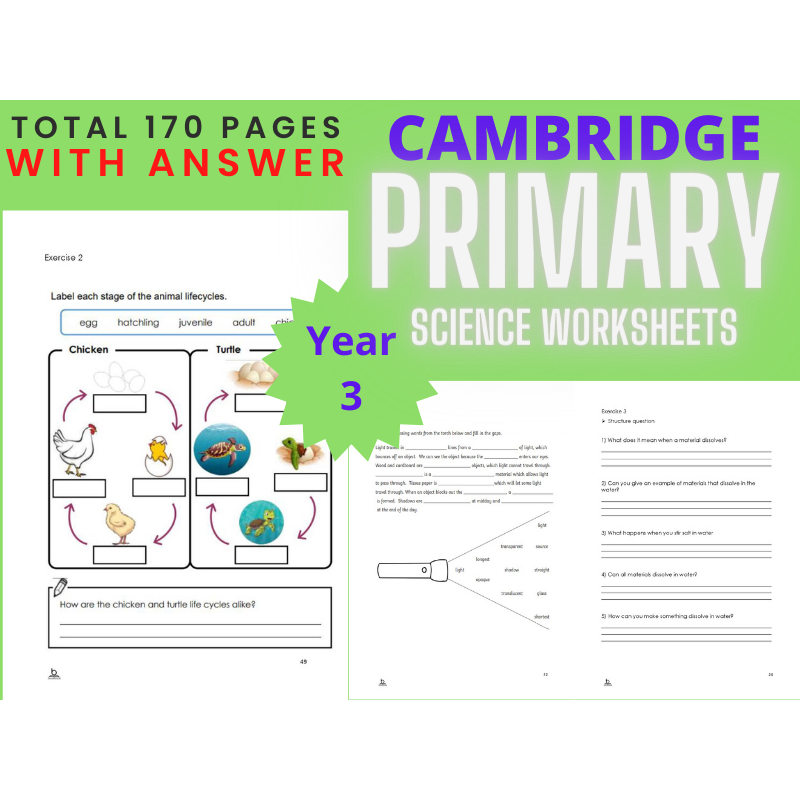 Primary Science Worksheet Year 3 *softcopy* | Shopee Malaysia
