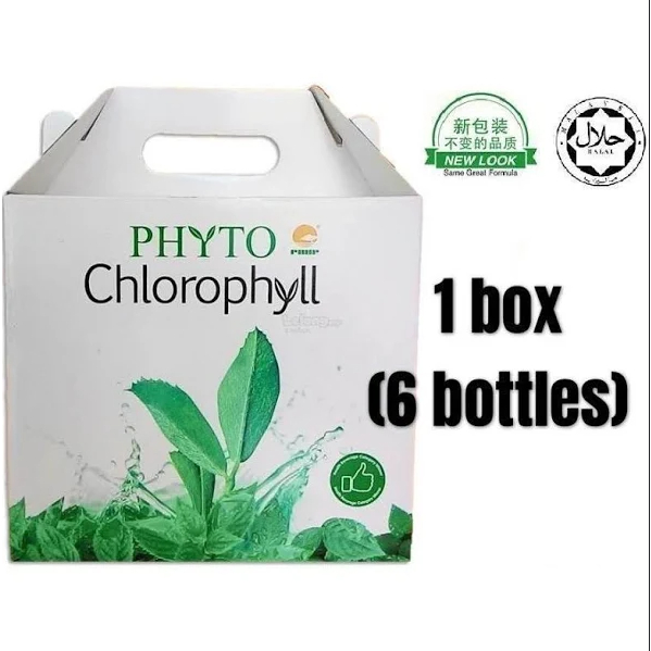 PHHP PHYTO CHLOROPHYLL (6 BOTTLES) 【Exp : 04/2025】【Ready Stock ...