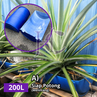 Tong Drum Plastik / Tong Air / Blue Drum Plastic / Bekas Tong Biru ...