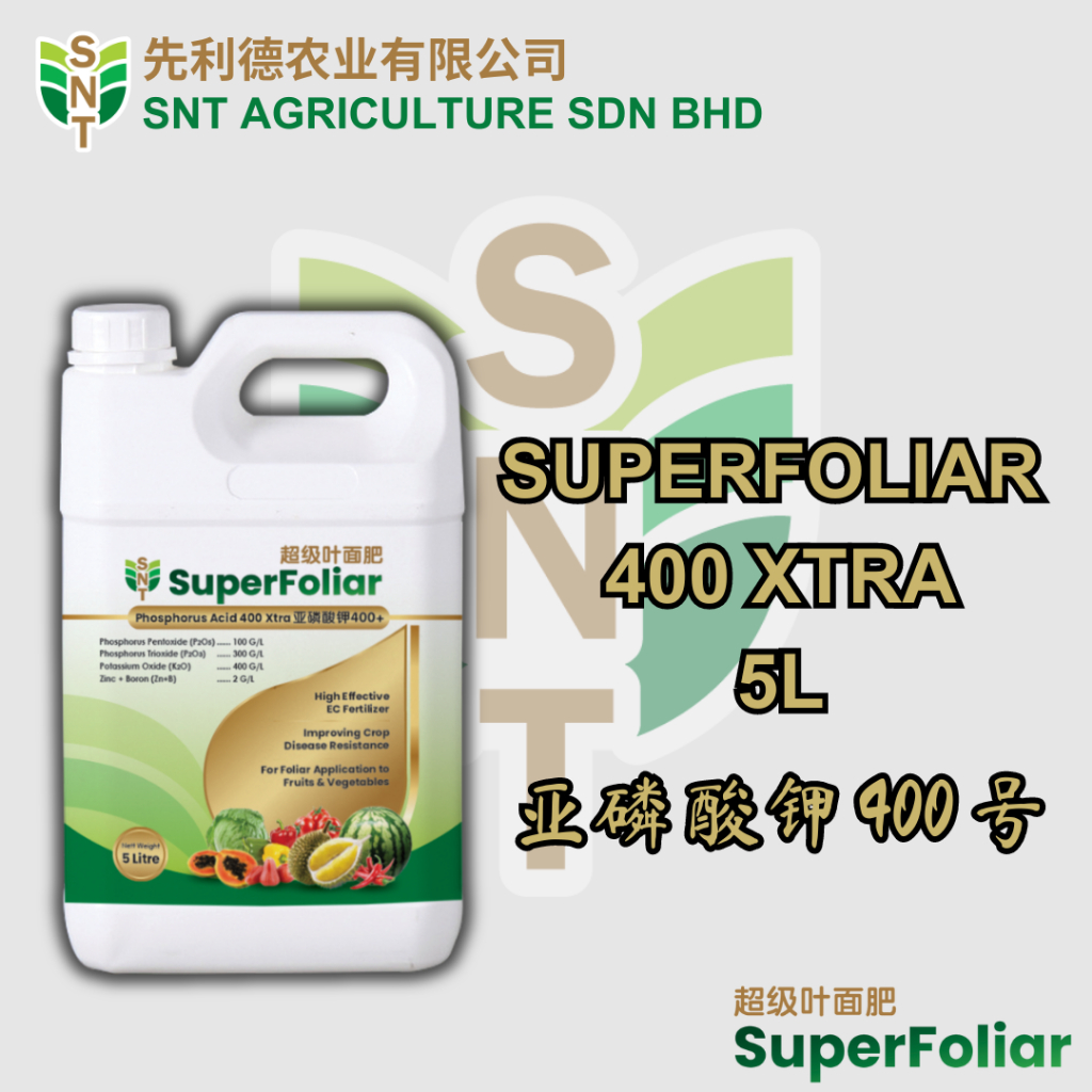 SNT SuperFoliar Phosphorus Acid 400Xtra 超级叶面肥 5L for durian tree - cancer, Phytophthora and Buah ...