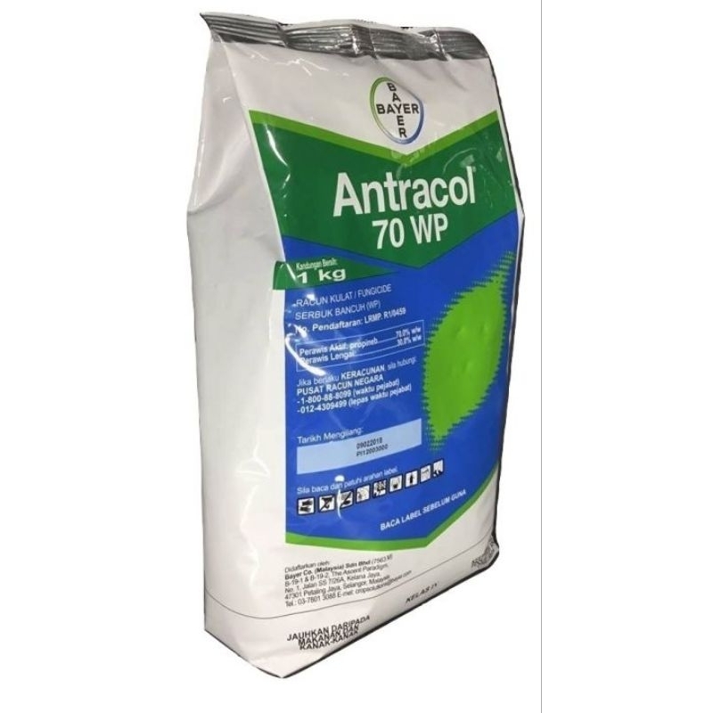 BAYER - ANTRACOL 1KG | Shopee Malaysia