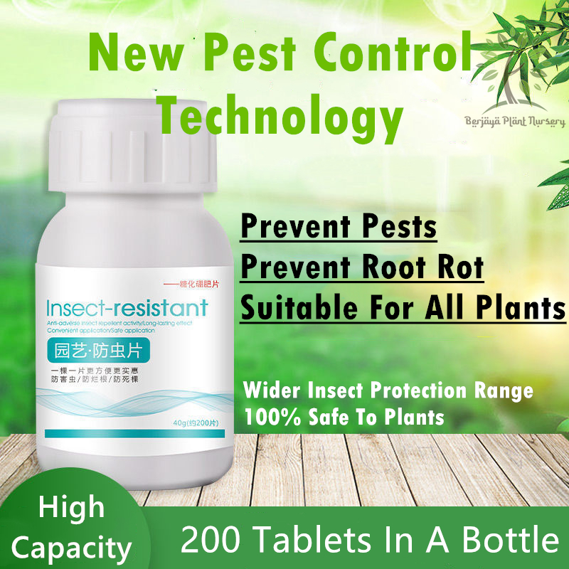 Organic Plant Insect Resistant Tablet/Mealybug & Aphid Pest Control ...
