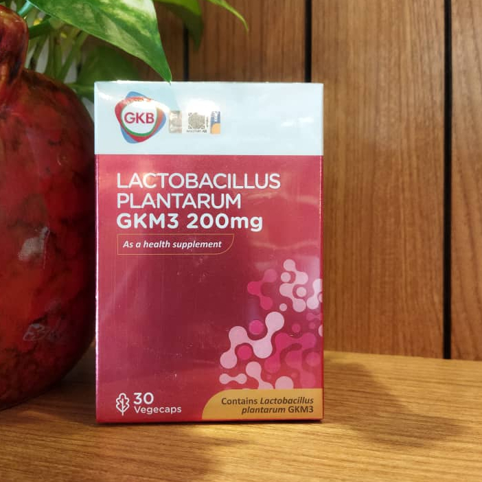 GKB Lactobacillus Plantarum GKM3 200mg 30's | Lose Belly Fat | Weight ...