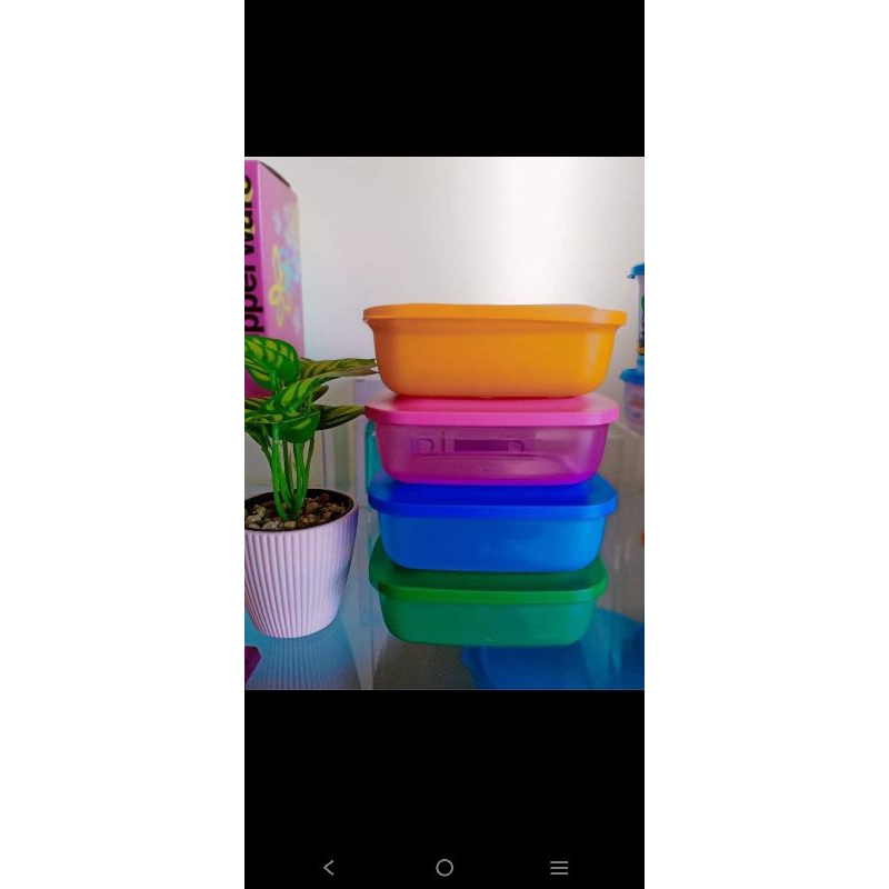 CLEARANCE Tupperware Small Rectangular Saver 500ml | Shopee Malaysia