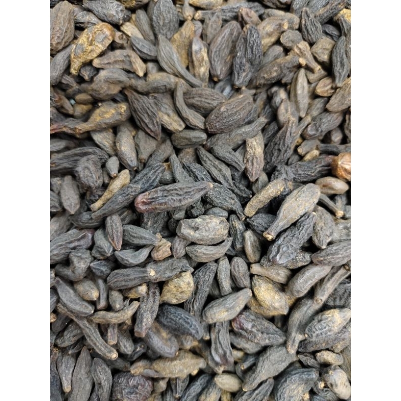 Belimbing Bukit Original / Buah KK / Kelentit Kering (100g)- Herba ...
