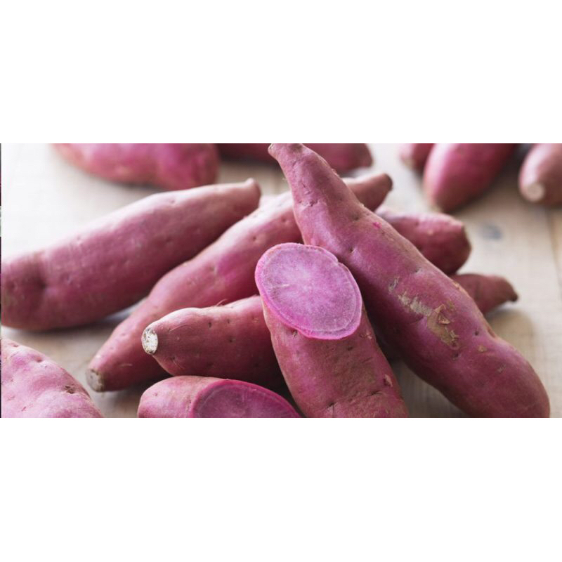 OFFER!! 1KG UBI MANIS CAMERON HIGHLAND 1KG | Shopee Malaysia