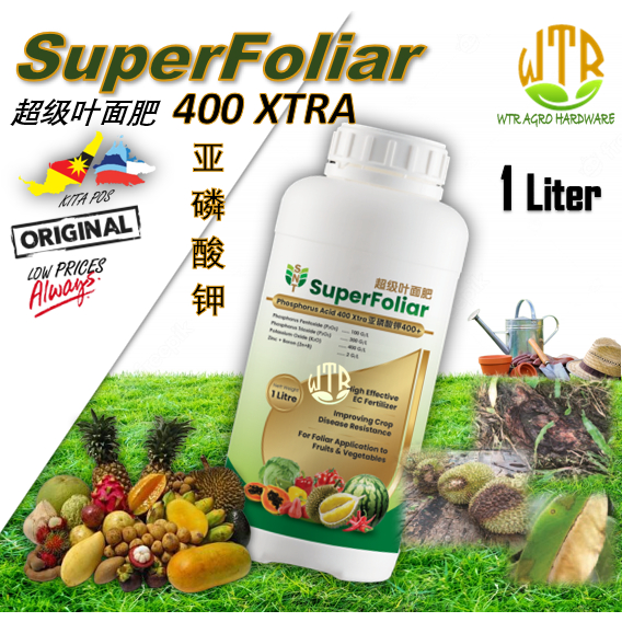 SuperFoliar Phosphorus Acid 400Xtra SNT 超级叶面肥 1L for durian tree - cancer, Phytophthora and Buah ...