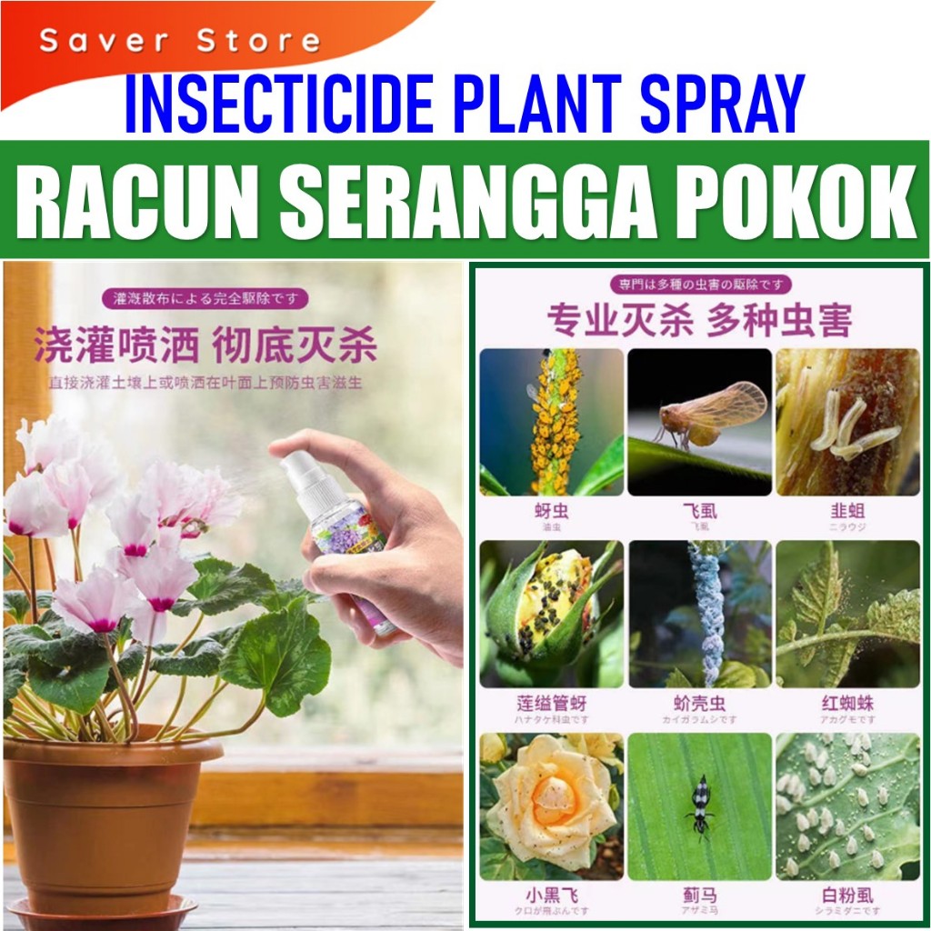 Racun Serangga Tumbuhan Flower Insecticide Garden Plant General ...
