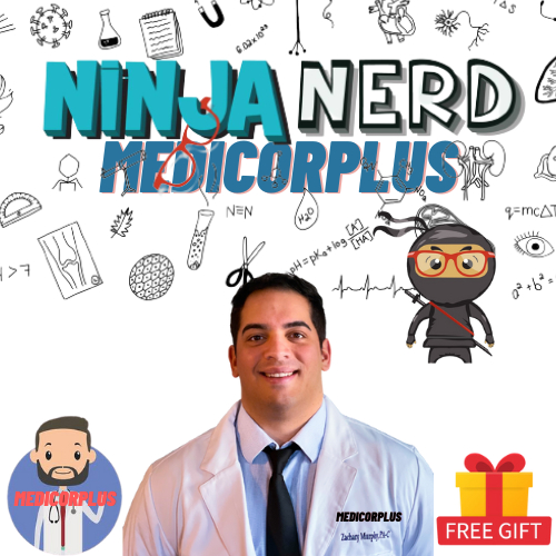 [CHEAPEST] 2024 FULL Ninja Nerd Lecture Notes PDF | Shopee Malaysia