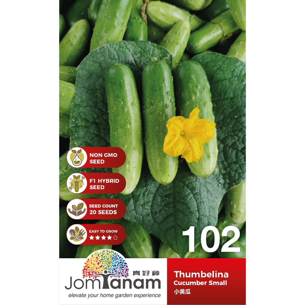 Cucumber Small Thumbelina JT-102 (20 Seeds) | Shopee Malaysia
