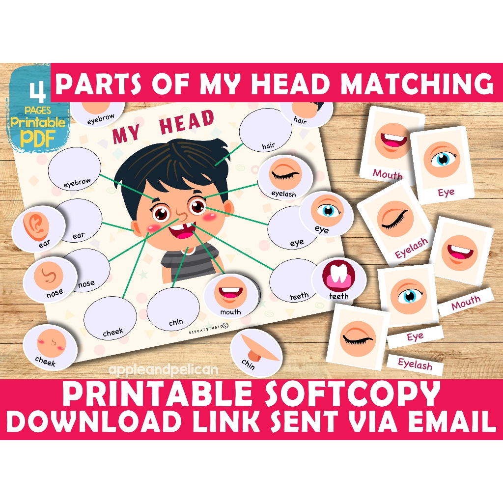 [SOFTCOPY] face parts matching worksheet with flashcard, Body Parts ...