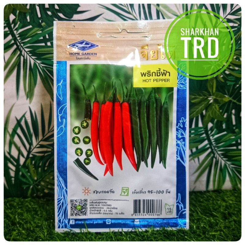 Paket 70 Biji (Seeds) CILI KULAI Chia Tai Home Garden Biji Benih Lada ...