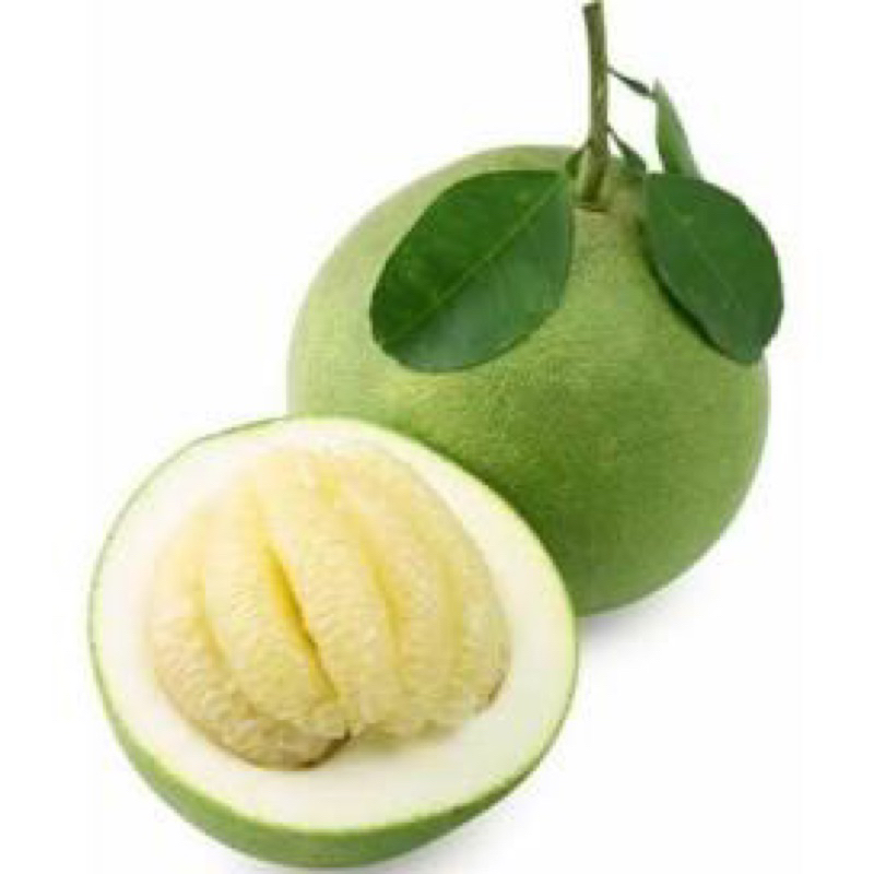 anak pokok Pomelo putih/isi putih sedap manis pokok renke | Shopee Malaysia