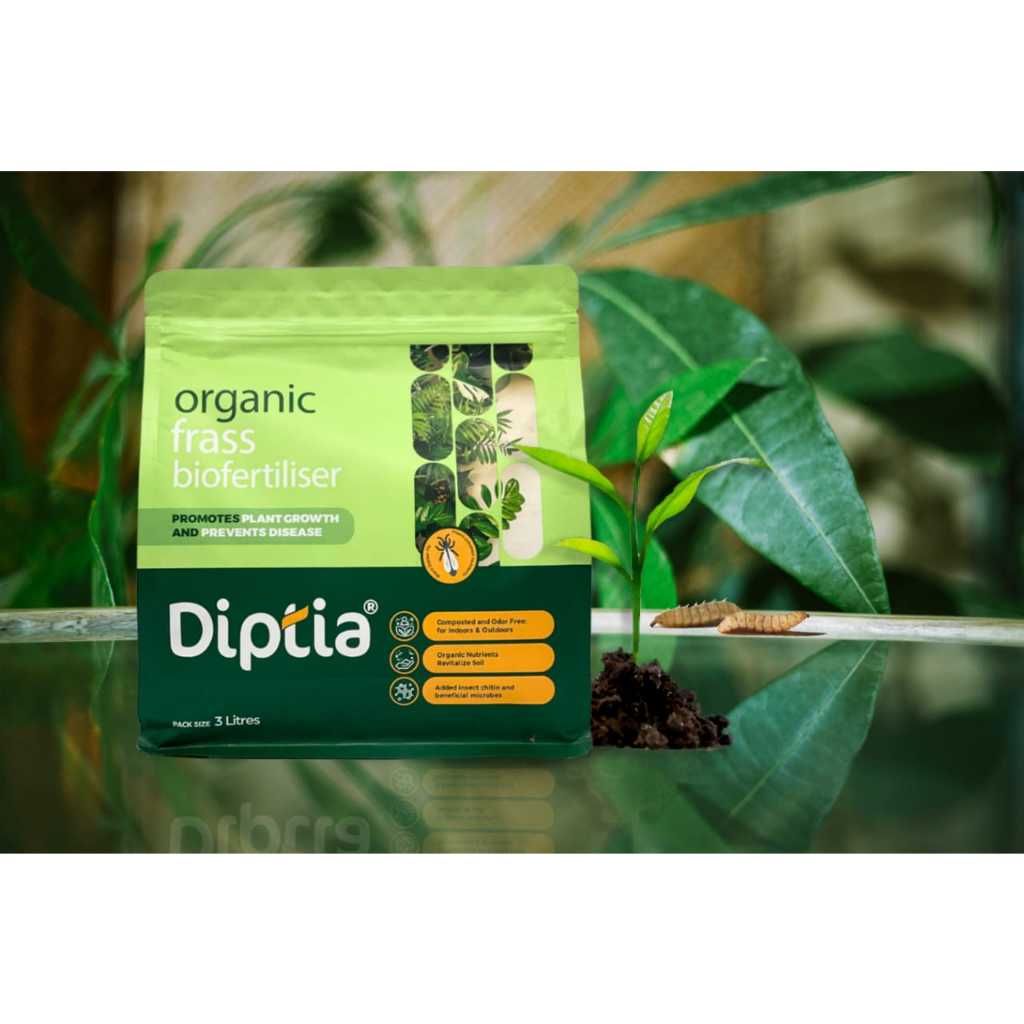 3L DIPT -ORGANIC FRASS BIOFERTILISER-PROMOTE PLANT GROWTH & PREVENT ...