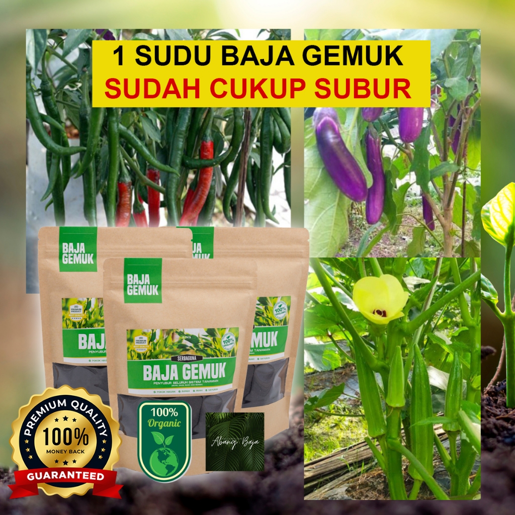 Baja Gemuk Baja Sayur Baja Organik Baja lebat Baja Daun Baja Subur Baja ...