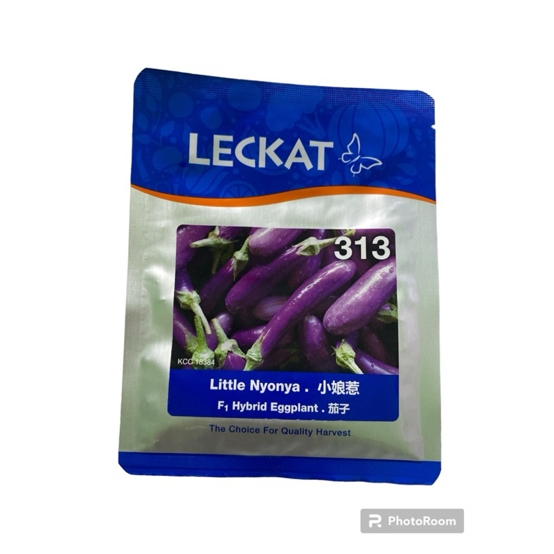 Benih Terung Mini Little Nyonya 313 F1 Hybrid Eggplant Leckat - (10g) 💯 ...