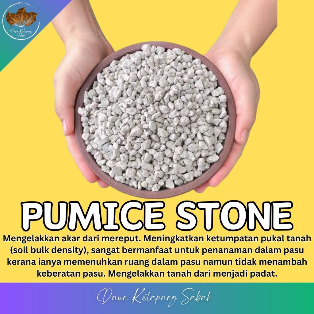 (1L) PUMICE STONE/ BATU PUMICE untuk pertanian | Shopee Malaysia
