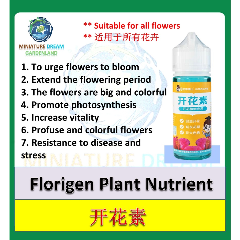【Ready Stock/现货】Dr. Huacao Florigen Plant Nutrient Solution Fertilizer ...
