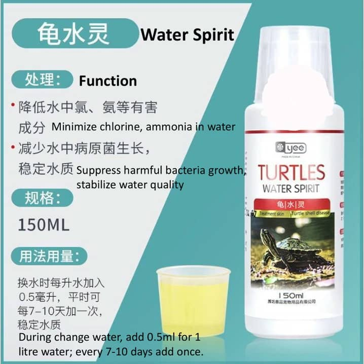 Tortoise Turtle Medicine Healthcare White Fur Ulcers Shelf Diseases ...