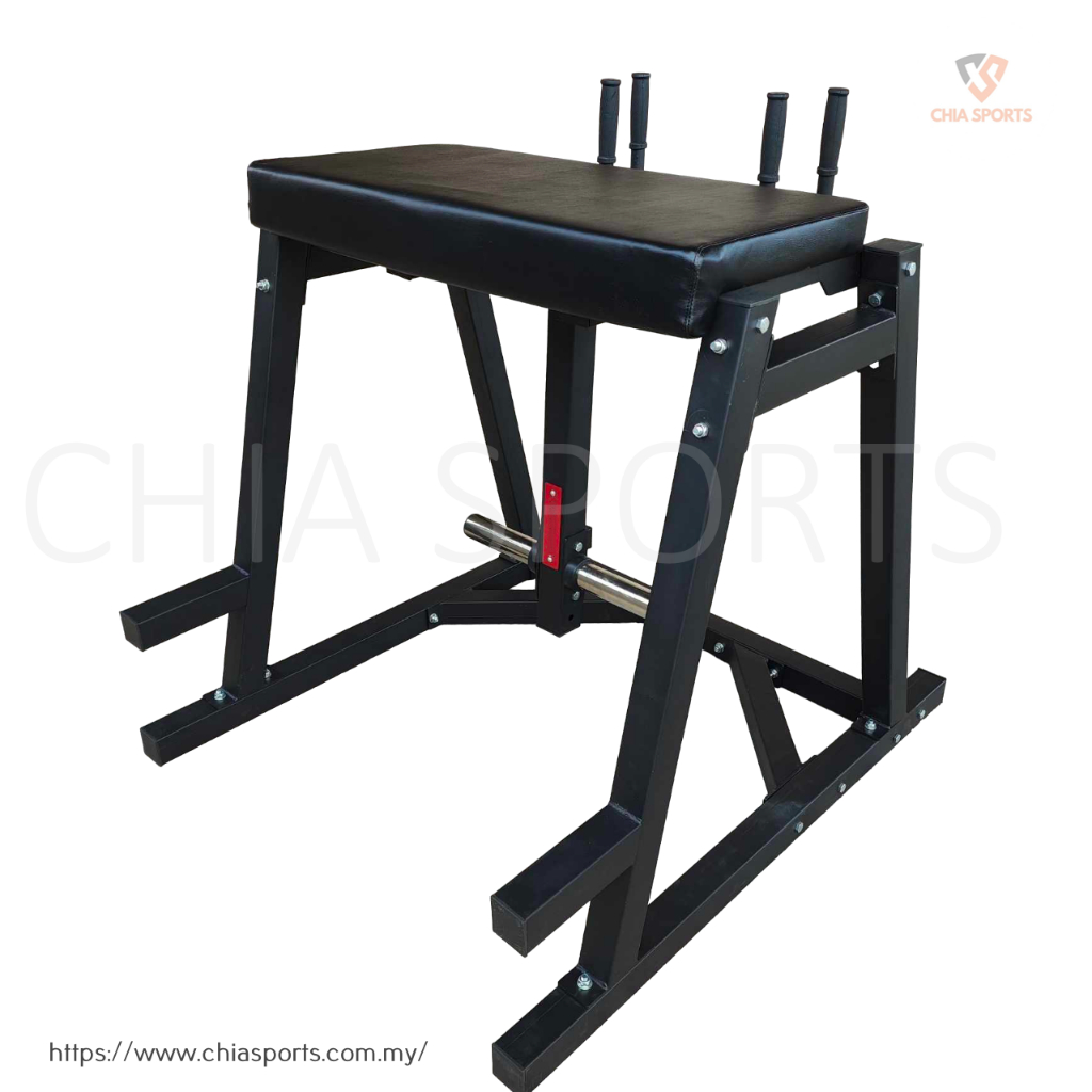 Reverse Hyperextension Machine Back Hamstring Glutes Lower Spine ...