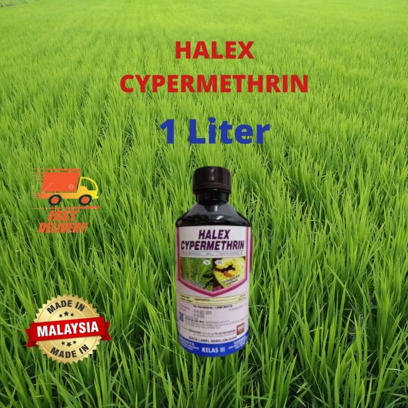 1L HALEX CYPERMETHRIN 5.5% (Sama Dengan Hextar CMC Cyper Kencis ) Racun ...