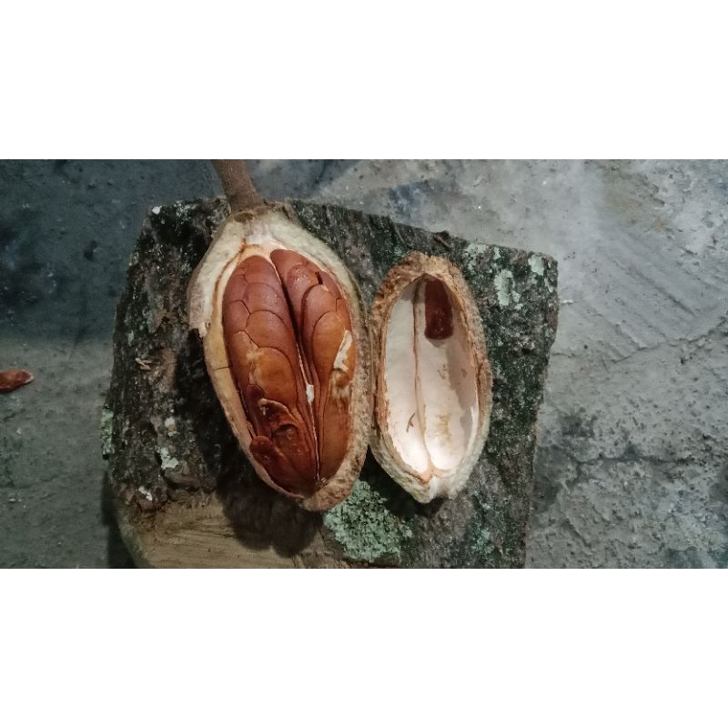 sky Fruit tunjuk langit | Shopee Malaysia