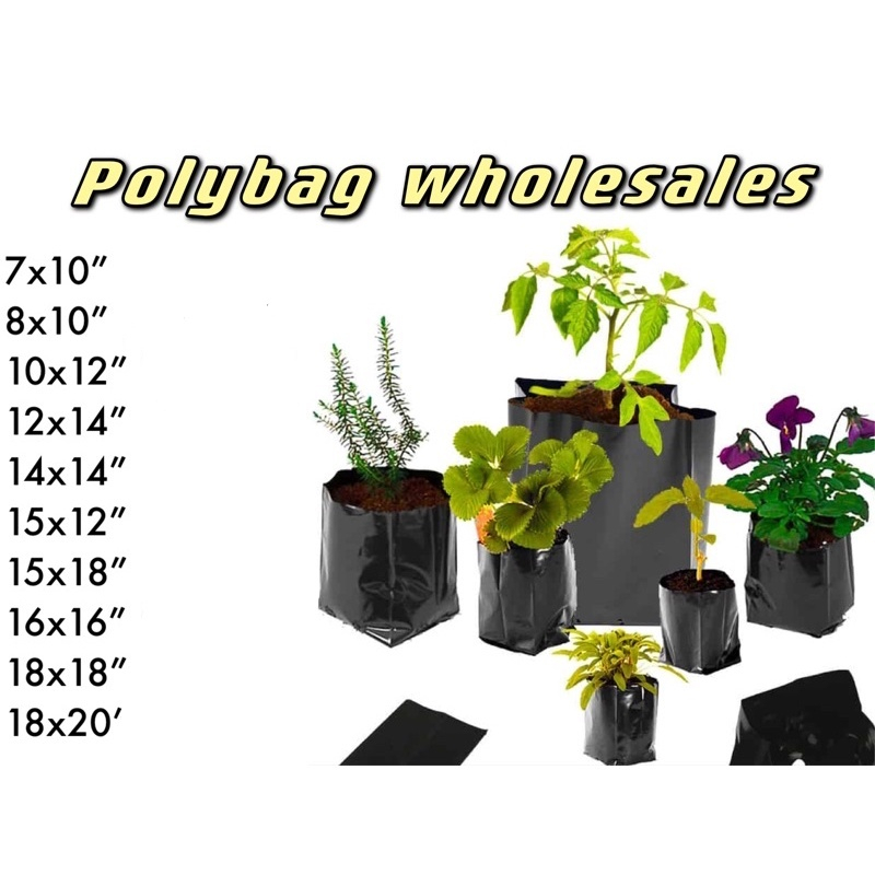 [1 KG] Black UV Polibag Hitam Nursery Plastik Benih Seed Polybag ...