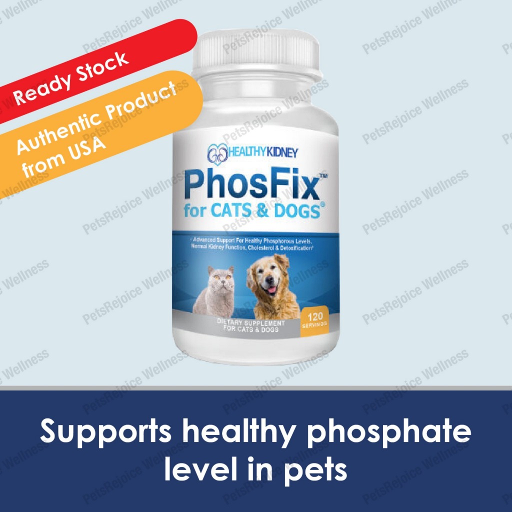 PhosFix for Cats & Dogs: Phosphorus Binder and chitosan to Support ...
