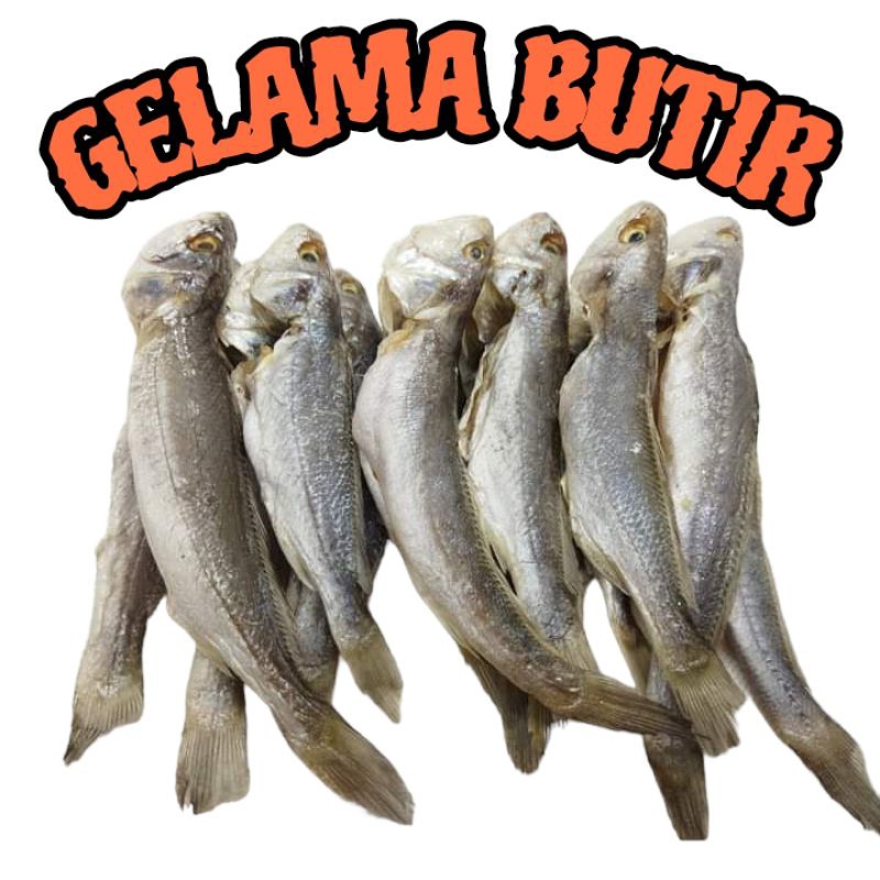 GELAMA BUTIR / IKAN GELAMA BUTIR NANGKA 250G / ikan kering / dried fish ...