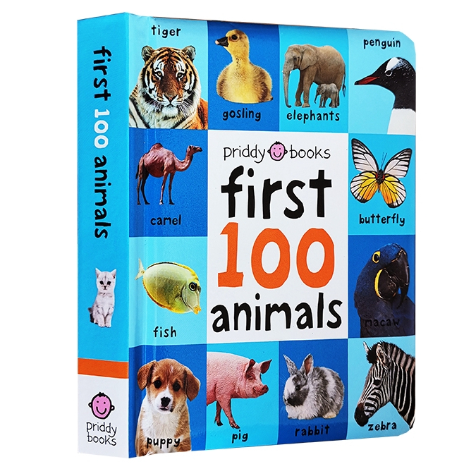[Littlebookz] Priddy First 100 Words / Kids English Board Book / Early ...