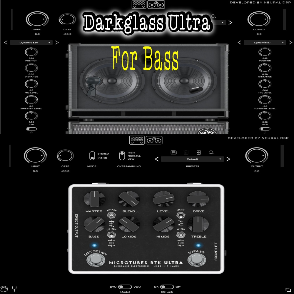 Neural DSP Darkglass Ultra BASS Guitar Effect Processing VST AAX Plugin ...