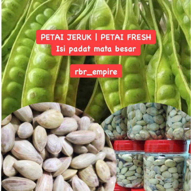 PETAI | PETAI JERUK | PETAI FRESH DARI KEBUN ISI PADAT | Shopee Malaysia PETAI | PETAI JERUK | PETAI FRESH DARI KEBUN ISI PADAT | Shopee Malaysia