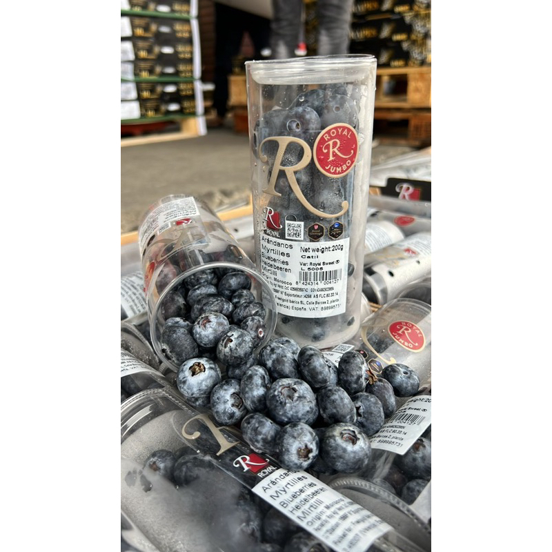 Morocco Premium Jumbo Blueberry 摩洛哥特级蓝莓 （200g+-) | Shopee Malaysia