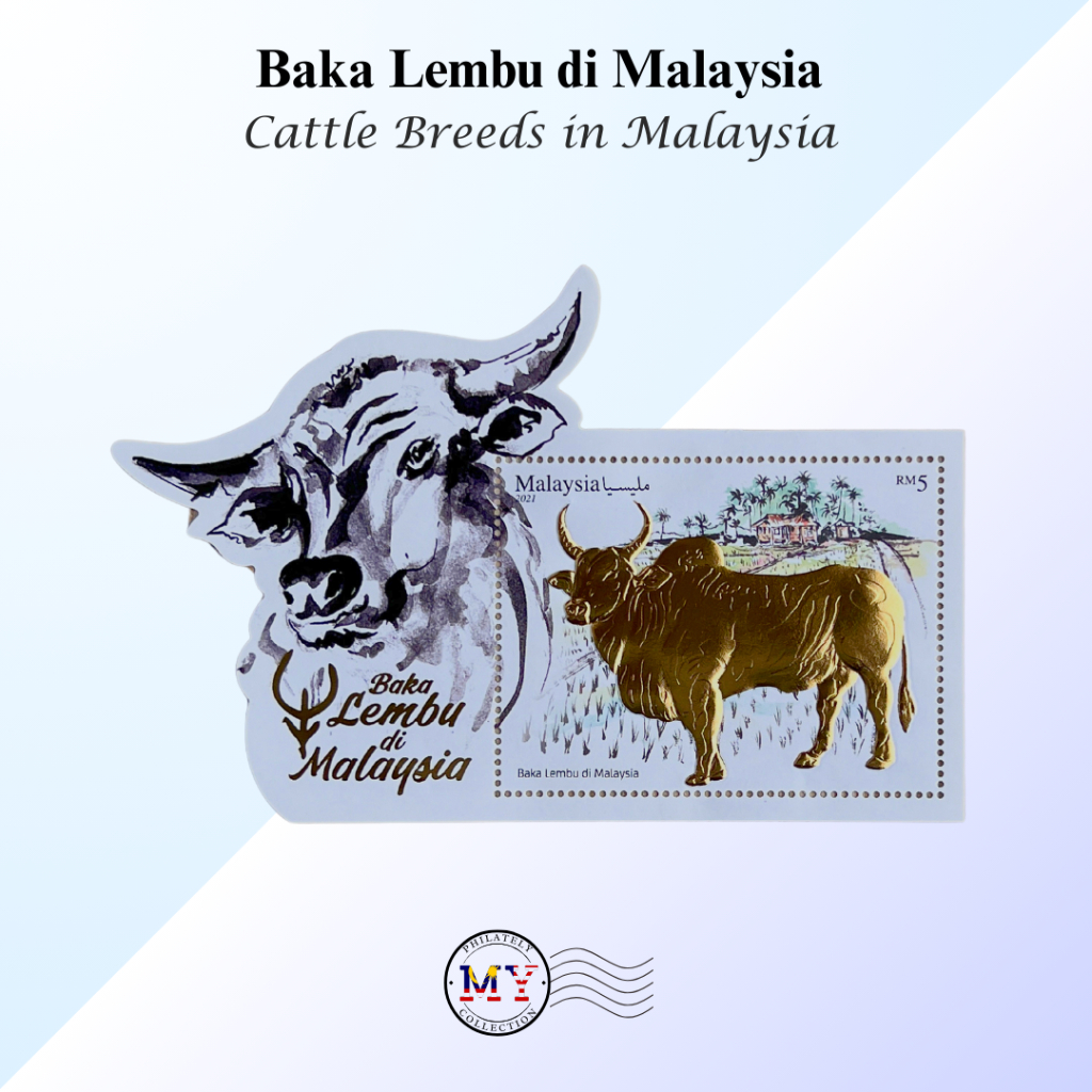 Malaysia 2021 Baka Lembu di Malaysia Cattle Breeds in Malaysia Setem ...