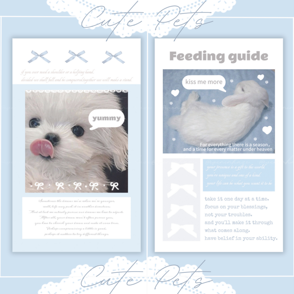 【Ready Stock】＜CUTE PETS＞label stickers sealing stickers cute aesthetic ...