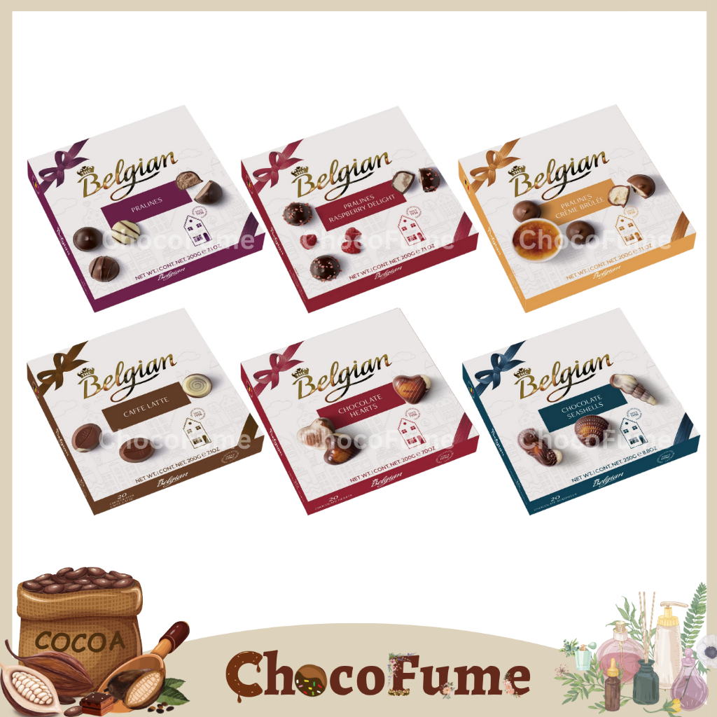 Coklat Belgian Seashells Chocolate Giftbox 200g ~ 250g | Shopee Malaysia