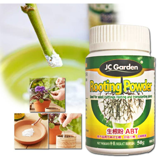 JC GARDEN 50g ROOTING POWDER ROOTMONE PLANTS PENGGALAK AKAR POKOK BUNGA ...