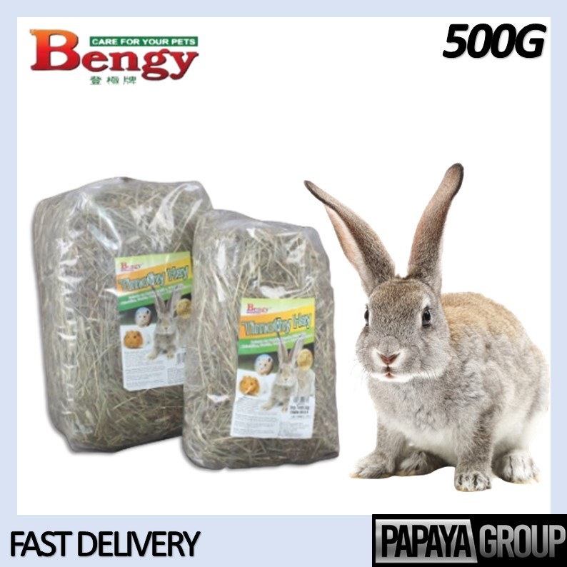Bengy Timothy Hay 500G / 1000G - Rabbit Food, Small Animal Food ...