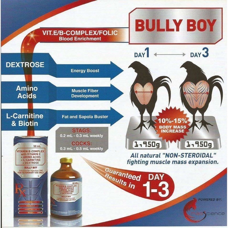 BULLY BOY (10ML)Vitamin B-Complex + E + Amino Acids + L-Carnitine ...