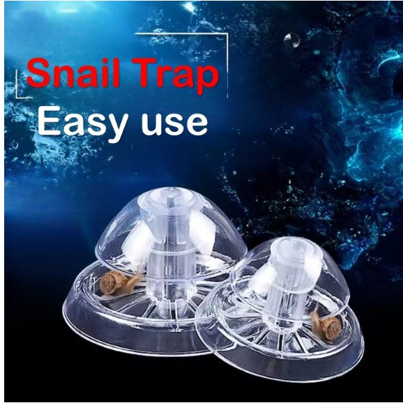 SNAIL TRAP Snail remover, snail trap trapping, miscellaneous snails in ...