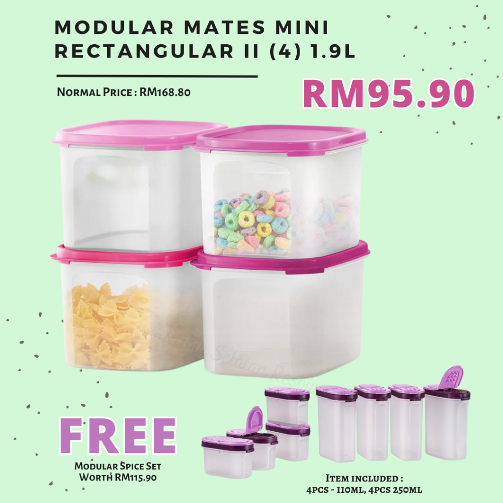Modular Mates Mini Rectangular II (4) 1.9L Tupperware FREE Modular ...