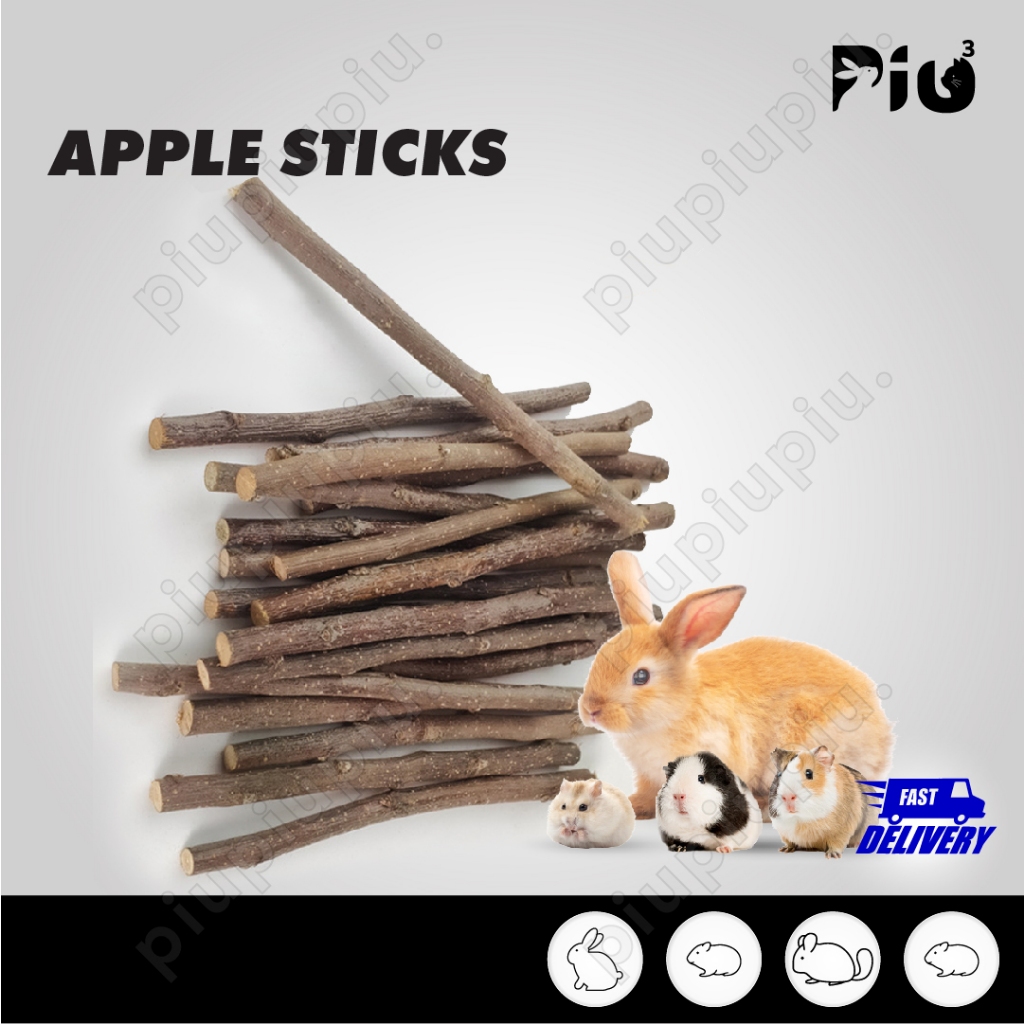 [24HR SHIP] APPLE STICKS 100G Chewing Molar Apple Branch Sticks Rabbit ...