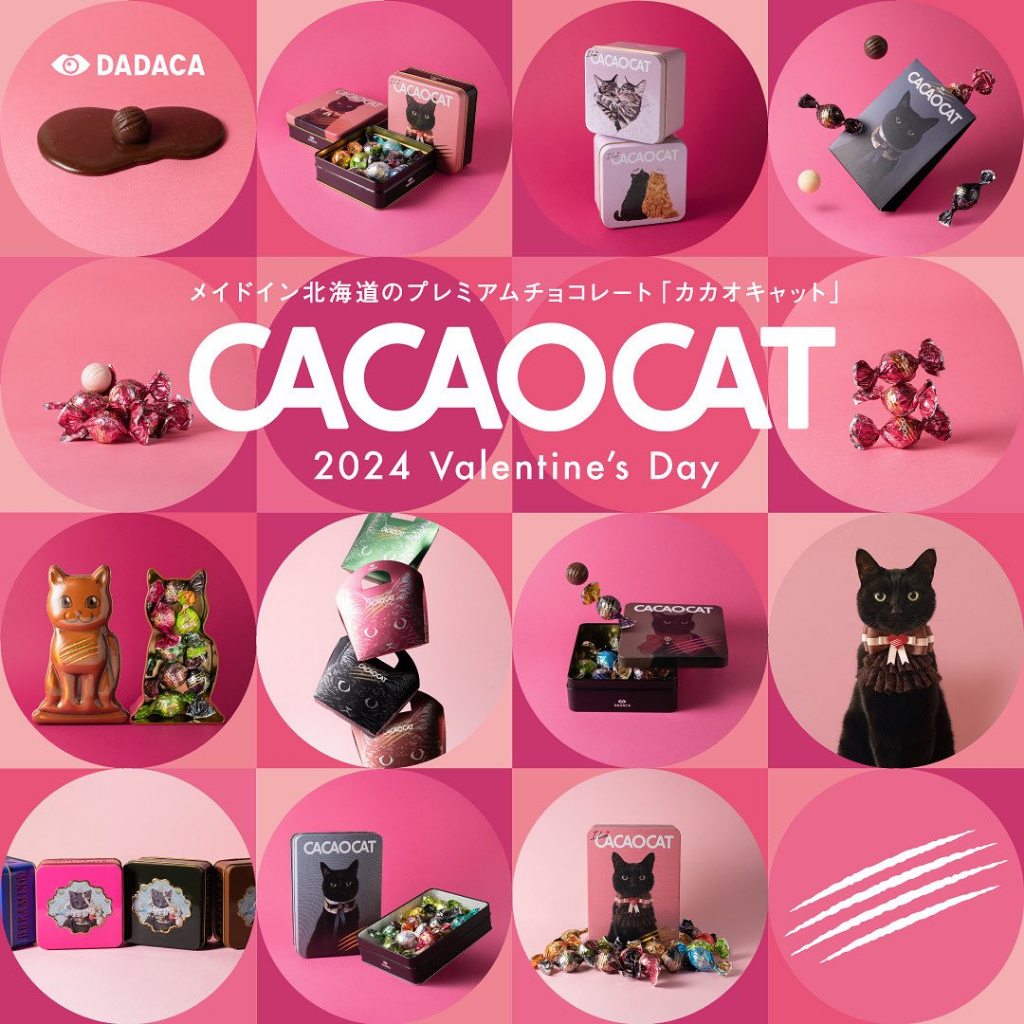 Direct from Japan｜CACAOCAT Made in Hokkaido / Premium Chocolate Can Cat ...