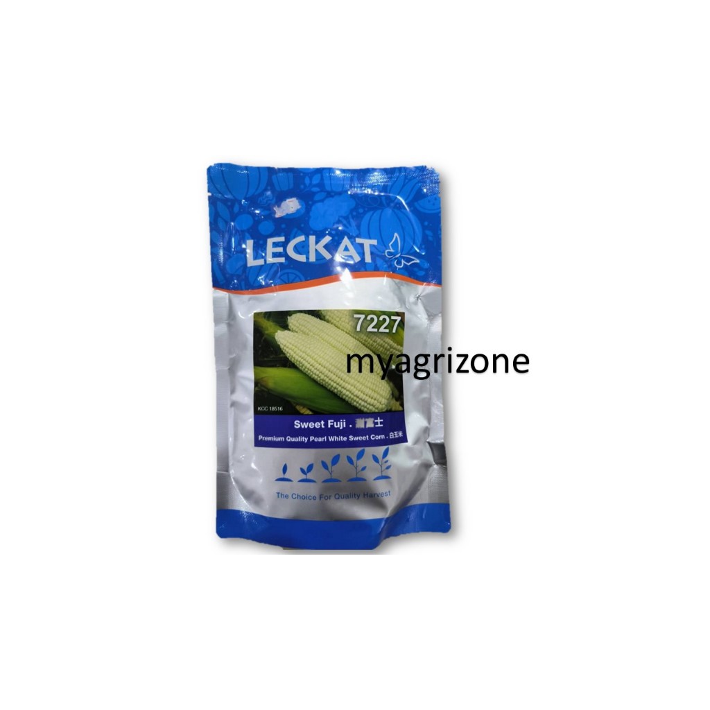 GWG White Sweet Corn Seed Cameron Bijih Benih Jagung Manis Putih ...