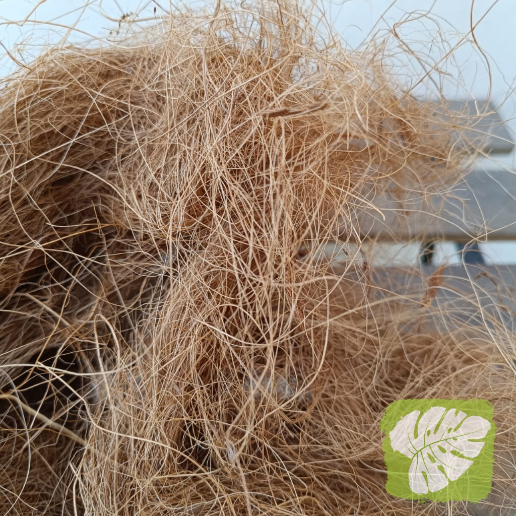 Coconut Coco Long Fiber Cocofibre Sabut Kelapa 椰丝纤维 2 Liter IOB ...