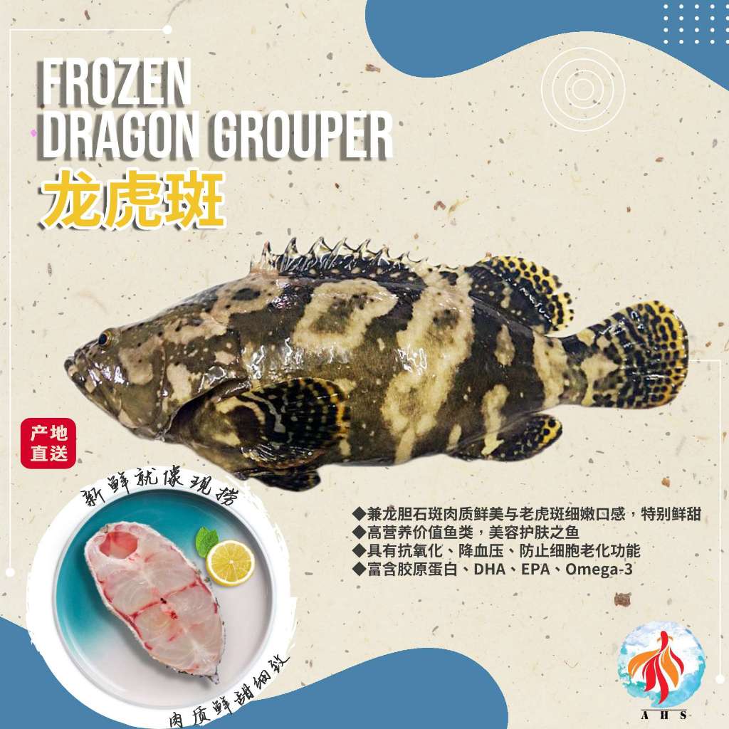 Frozen Dragon Grouper 龙虎斑 (whole fish after clean) | Shopee Malaysia