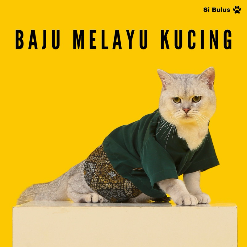 Baju Melayu Cekak Musang Jantan Kucing Raya Murah 2024 | Shopee Malaysia